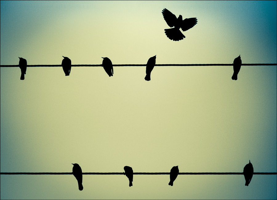 How to Break Free From An Abusive Relationship - BWSS