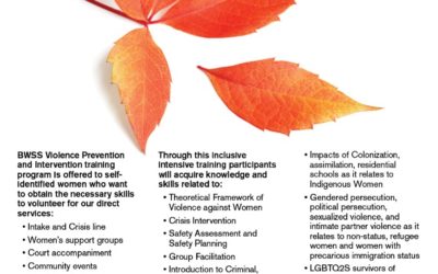 Battered Women’s Support Services | BWSS
