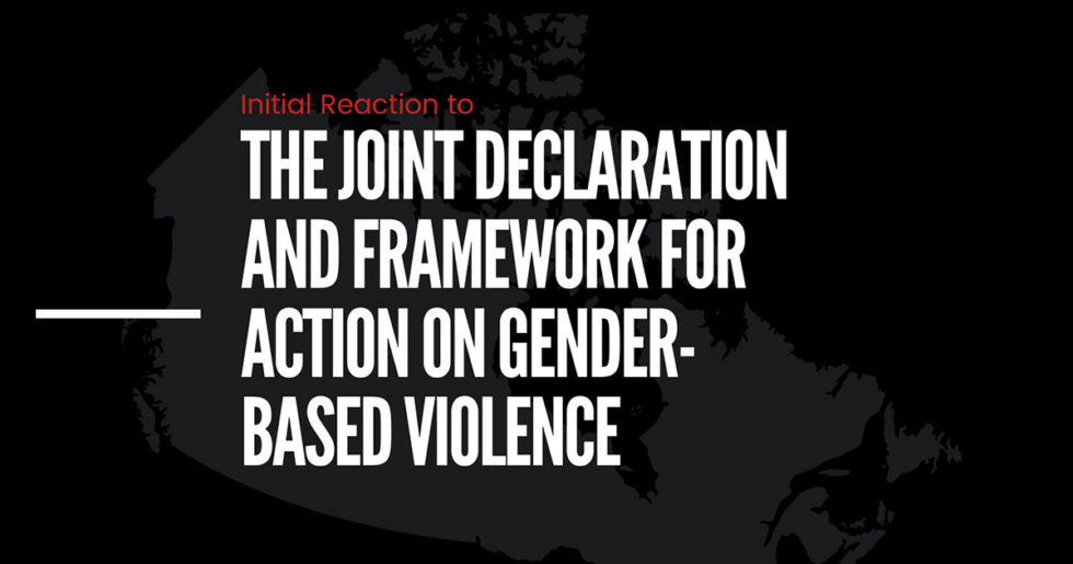 Initial Reaction to the Joint Declaration and Framework for Action on Gender-Based Violence - BWSS