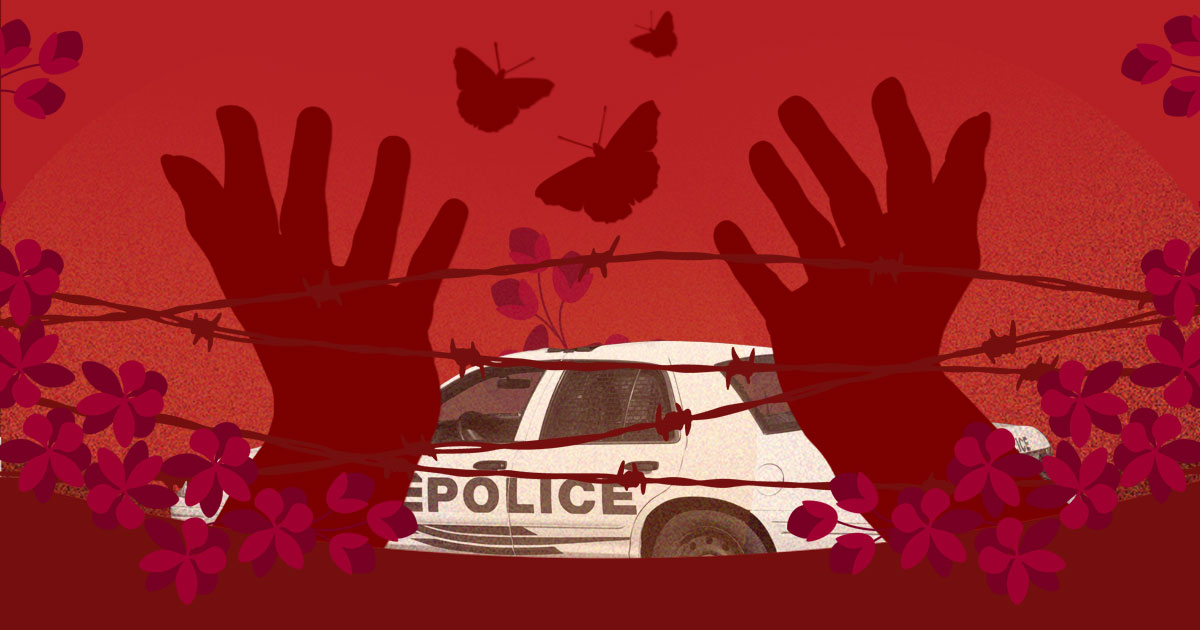 Colour of Violence II: Race, Gender, and Policing Responses to Gender ...